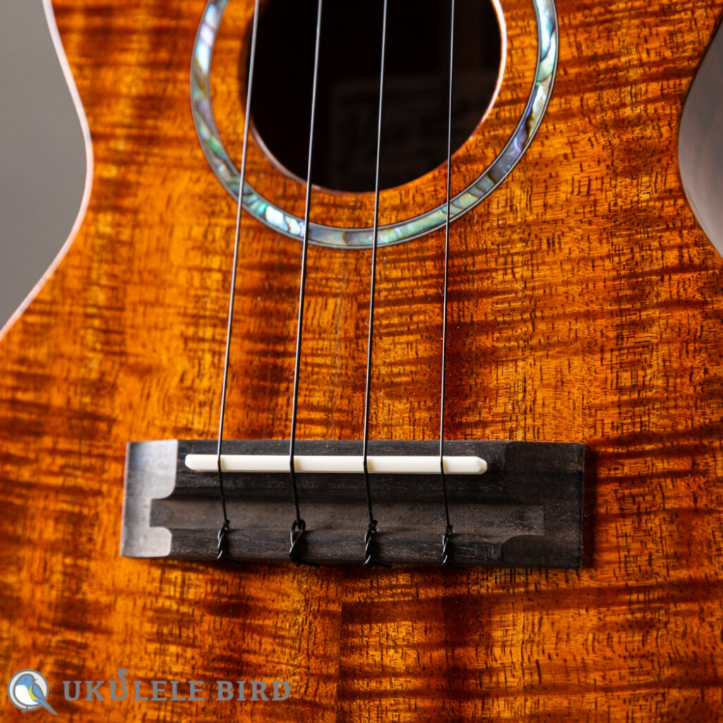 Ko’olau C-100 Concert UB 5th » Ukulele Bird